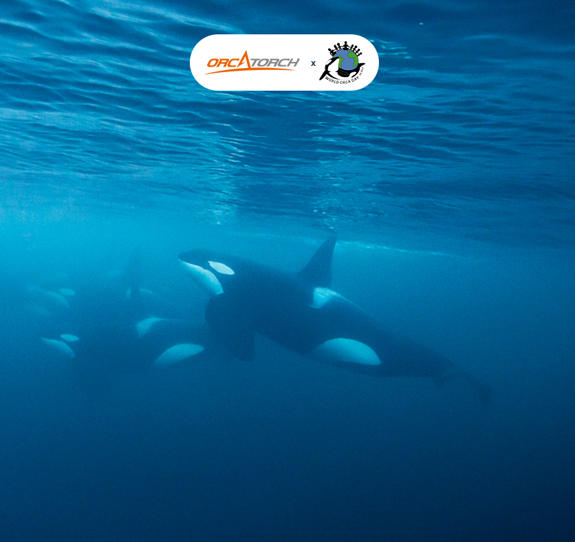 OrcaTorch Official Store: Durable & Affordable Dive Lights